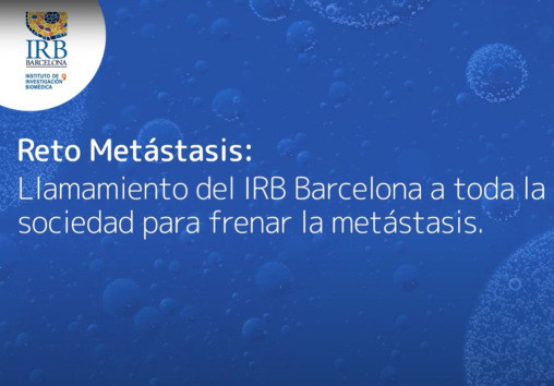 BHH Members Initiatives